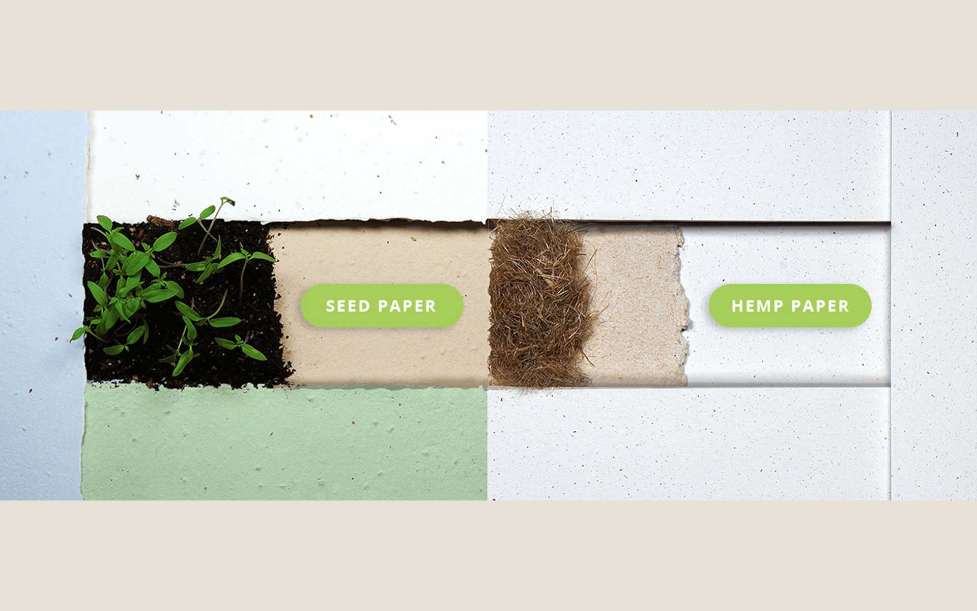 Green Field Paper Company - We See Giants